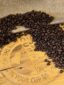 Shark Bite Espresso Coffee 🍁 | Cupper's Coffee & Tea