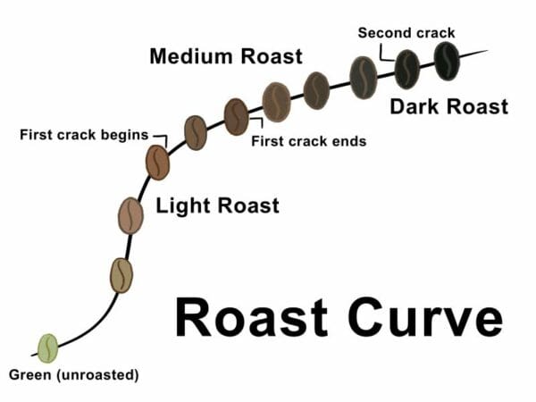 The Ultimate Guide to Coffee Roasting - Cupper's Coffee & Tea