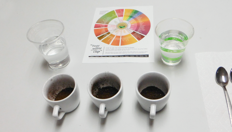 The Coffee Flavour Wheel - Cupper's Coffee & Tea