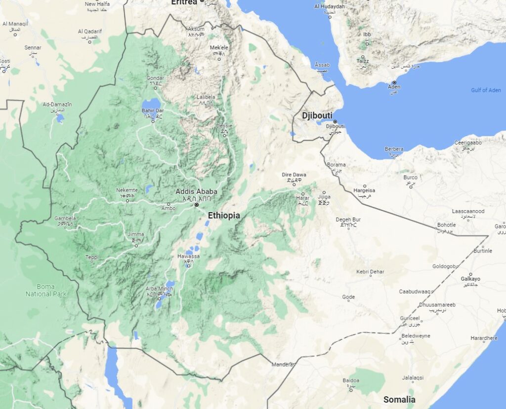 Cupper's Guide to Ethiopian Coffee - Cupper's Coffee & Tea