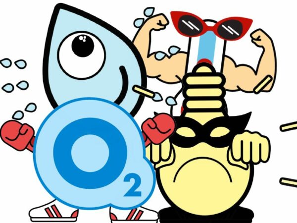 A Comprehensive Guide to Coffee Storage - Cupper's Coffee & Tea