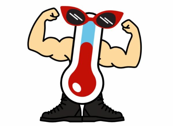 A Comprehensive Guide to Coffee Storage - Cupper's Coffee & Tea