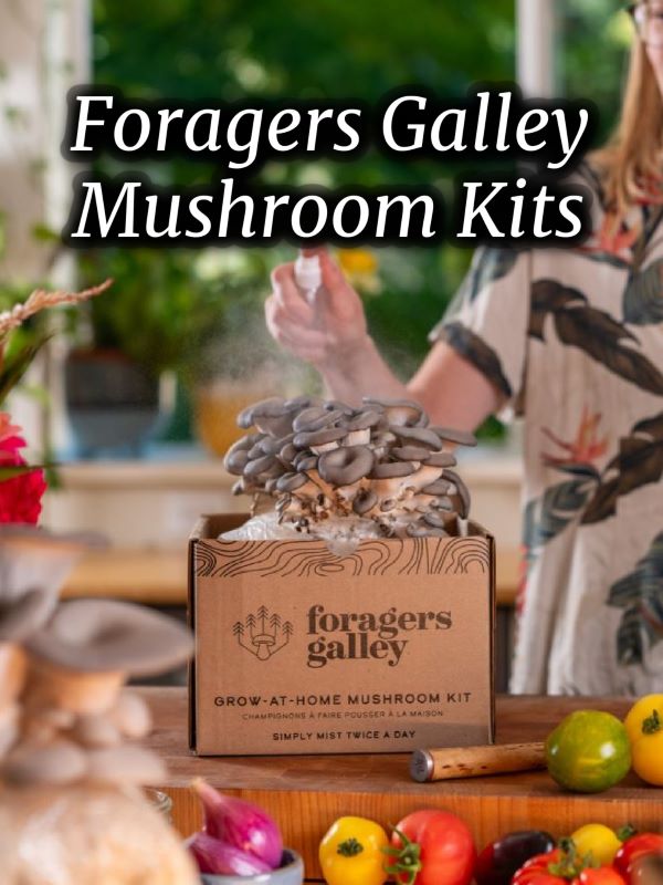 Foragers Galley Mushroom Kits 🍁 - Cupper's Coffee & Tea